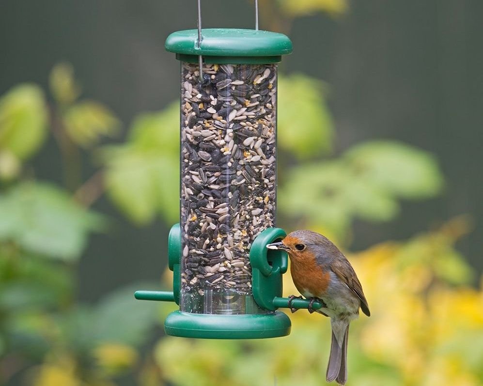 Los 10 mejores comederos para PÁJAROS【Comparativa y opiniones】